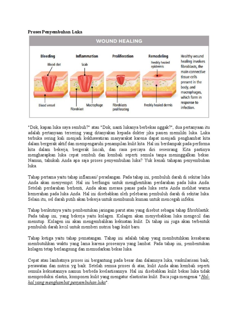 Proses Penyembuhan Luka | PDF