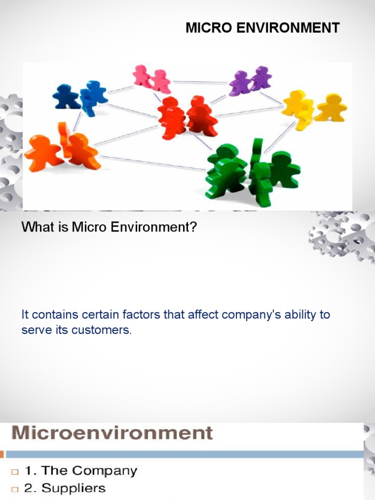 Micro Environment | PDF | Marketing | Business Process
