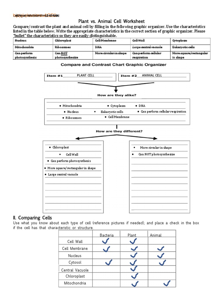 Comparing Plant And Animal Cells Worksheet