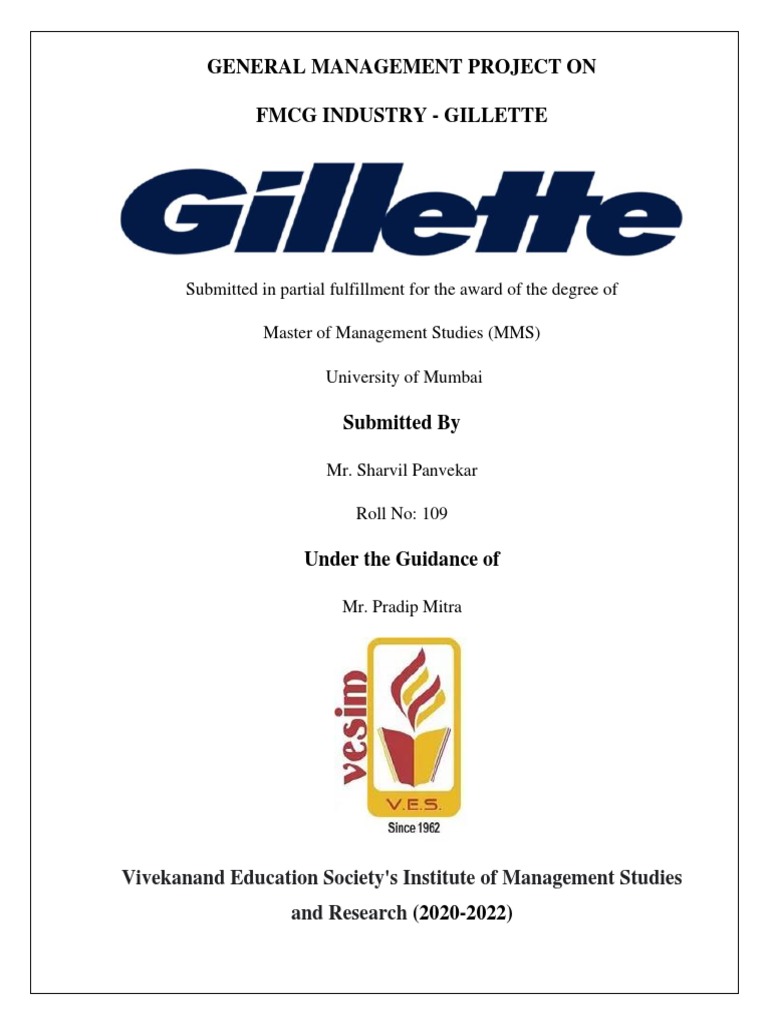 Gillette's Market Share Insights 2024 | PDF | Market Segmentation | Razor