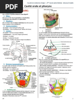 Anatomie et Fonction de la Langue | PDF | Langue | Anatomie humaine