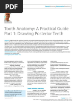 Outlining Module - Activity | PDF | Tooth