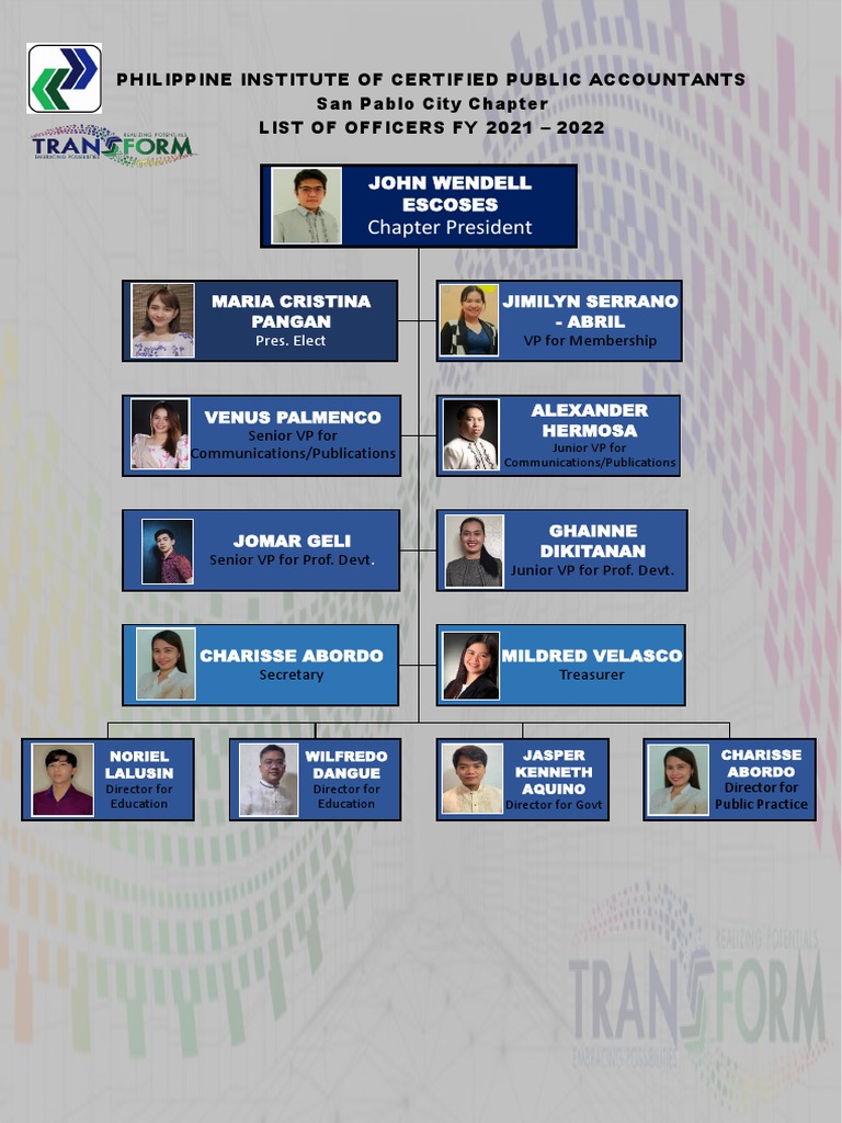 Picpa Org Chart Fy 2021 2022 | PDF