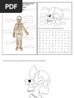 Esqueleto Recortable | PDF