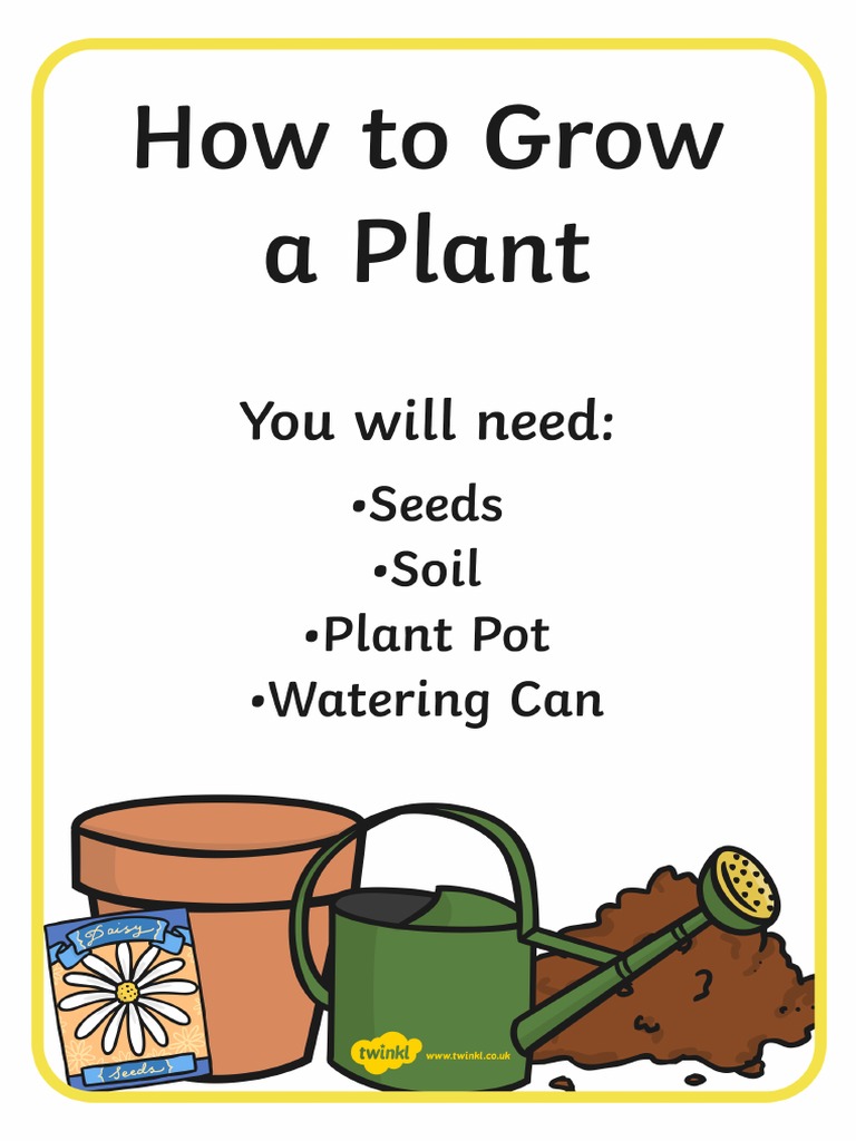 How To Grow A Plant Posters | PDF