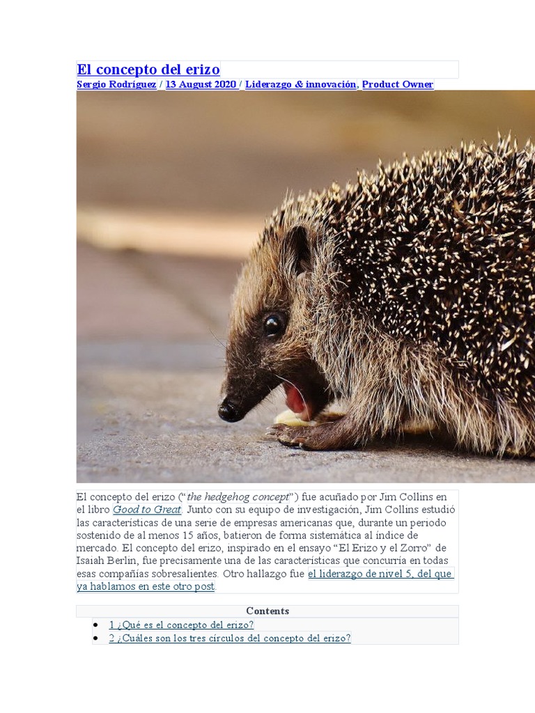 El Concepto Del Erizo | PDF | Facebook | Empresa de inicio
