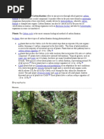 Moss Plant Structure and Observation Guide | PDF