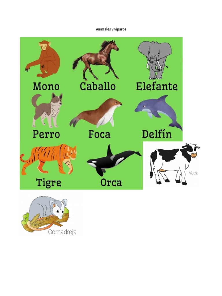 Animales Vivíparos | PDF