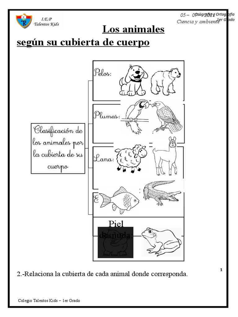 Los Animales Cubierta de Su Cuerpo | PDF
