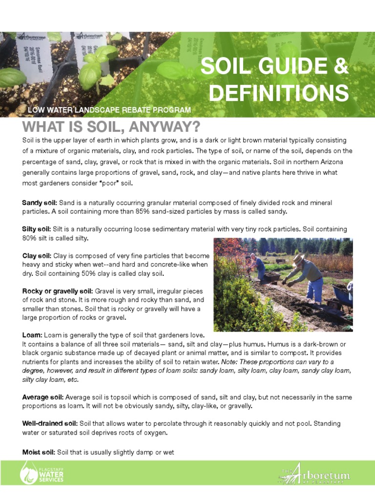 Soil Guide & Definitions: What Is Soil, Anyway? | PDF