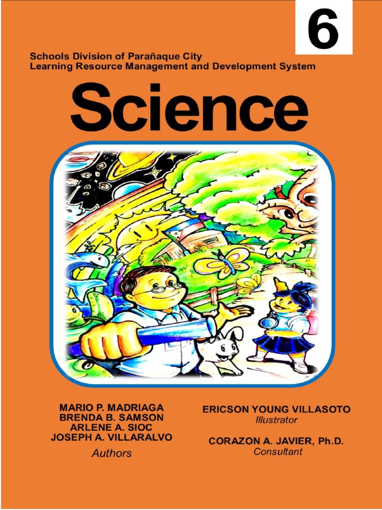 Science 6 Worksheets | PDF | Mixture | Human Musculoskeletal System