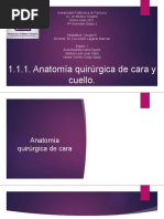 Adenoamigdalitis: Diagnóstico y Tratamiento | PDF | Lengua | Estreptococo