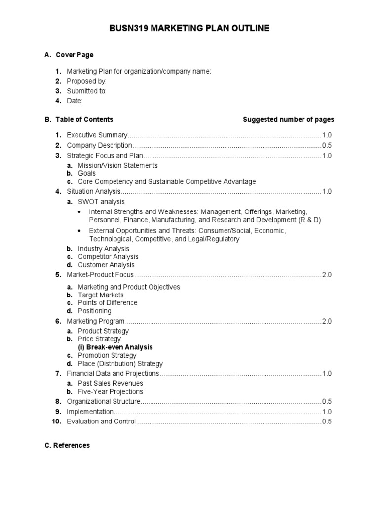 BUSN319 Marketing Plan Outline | PDF