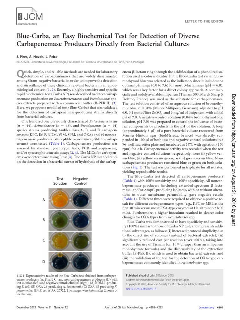 Blue - Carba - Prueba Bioquímica para Detección de Carbapenemasas ...