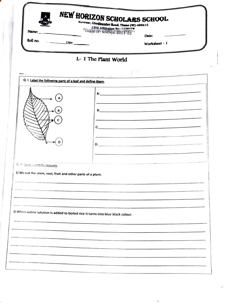 Science Assignment Pdf Download Free Pdf Leaf Plants