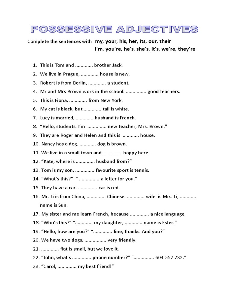 Possessive Adjectives Grammar Drills 53046 | PDF