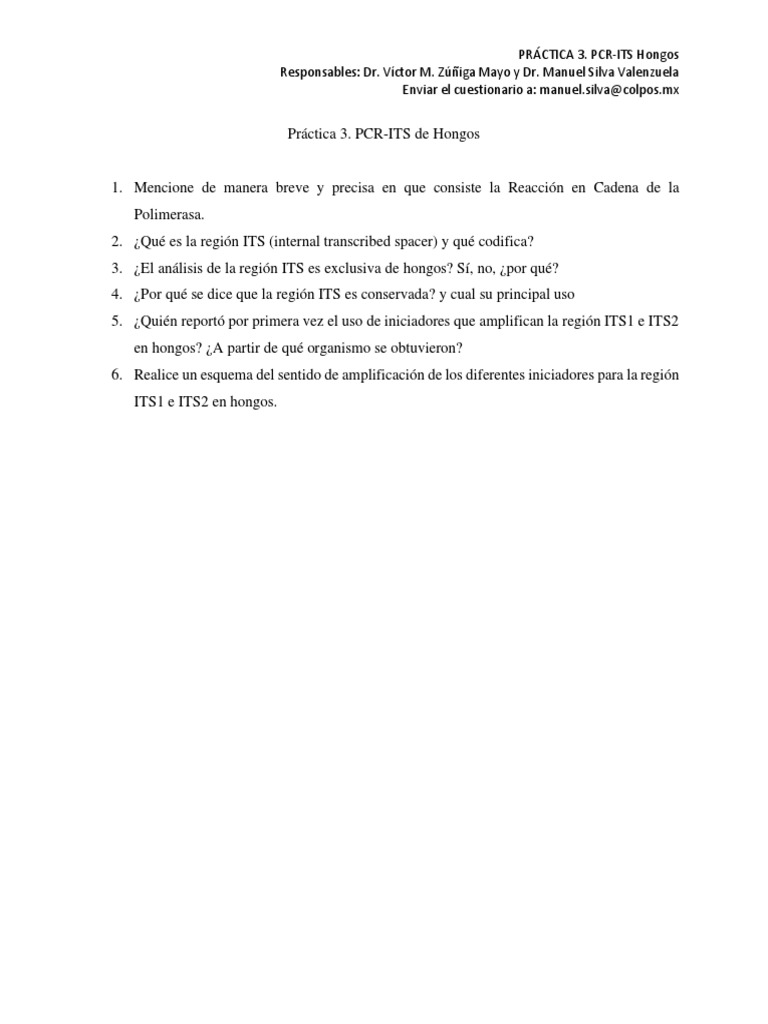 PCR-ITS en Hongos: Guía Práctica | PDF