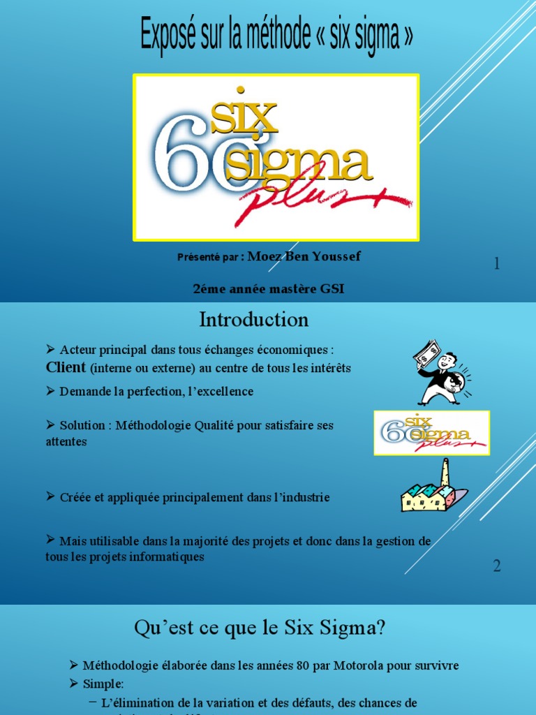 Six Sigma | PDF | Six Sigma | Business