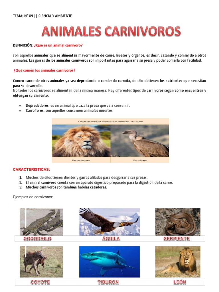 Animales Carnivoros | PDF