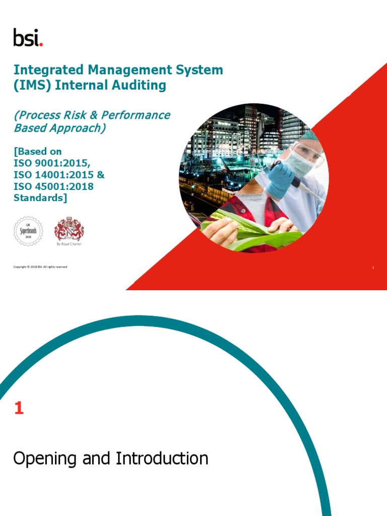 Integrated Management System (IMS) Internal Auditing: (Process Risk ...