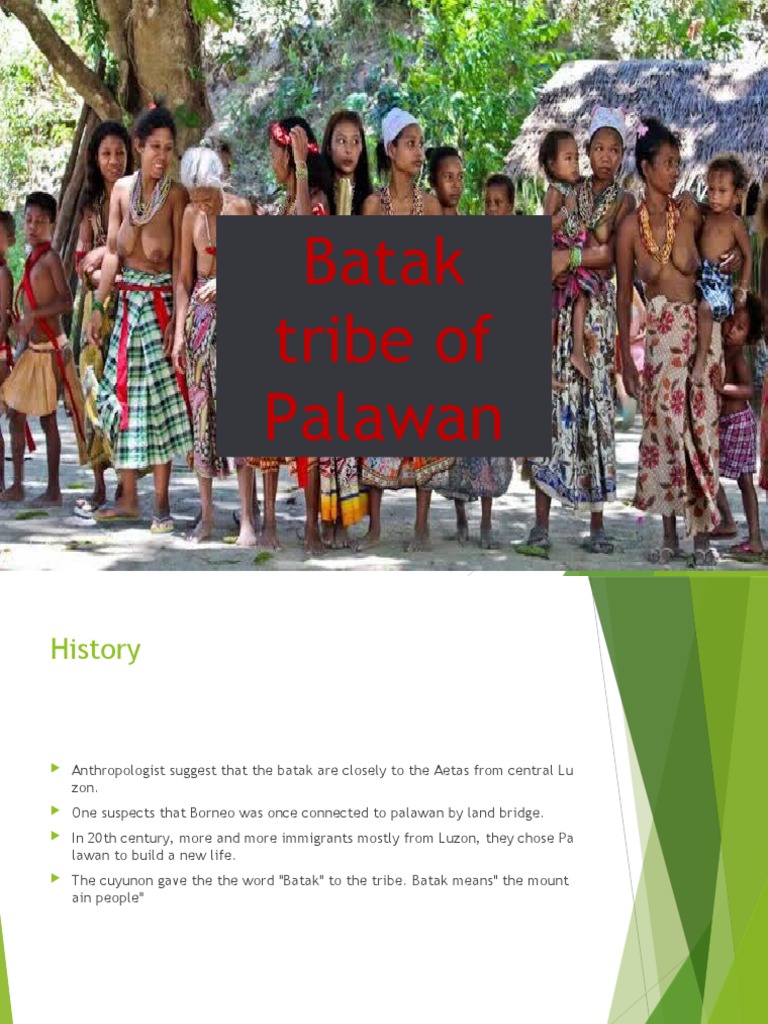Batak Tribe in Palawan | PDF