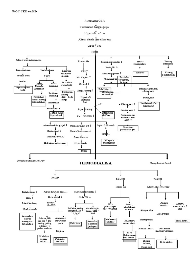 WOC CKD HD Doc Dikonversi | PDF