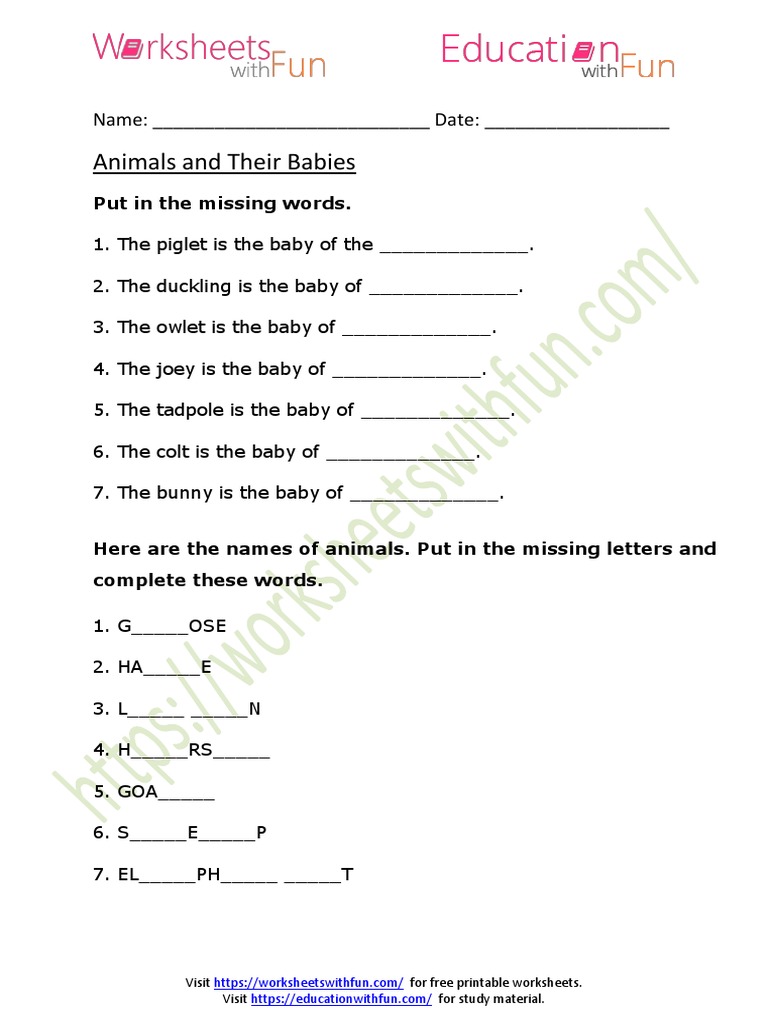 Animals and Their Babies Worksheet 2 | PDF