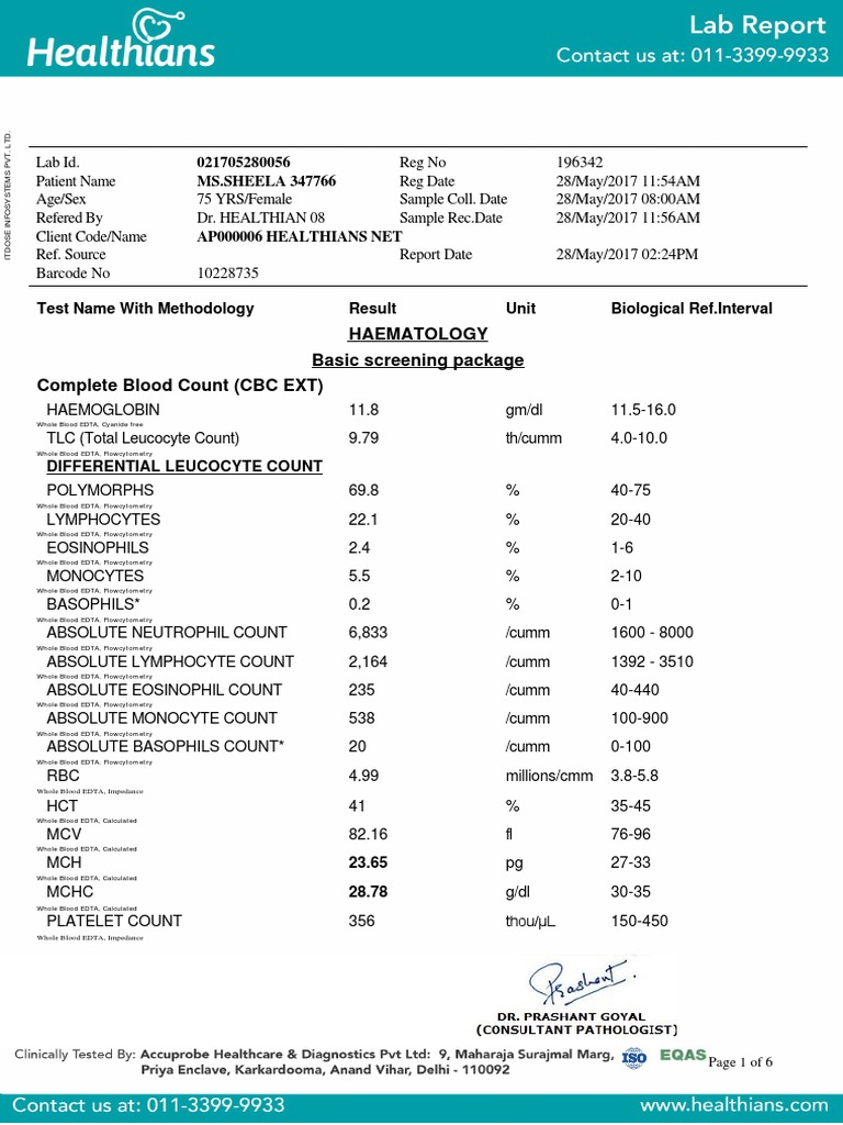 Haematology Basic Screening Package Complete Blood Count (CBC EXT ...