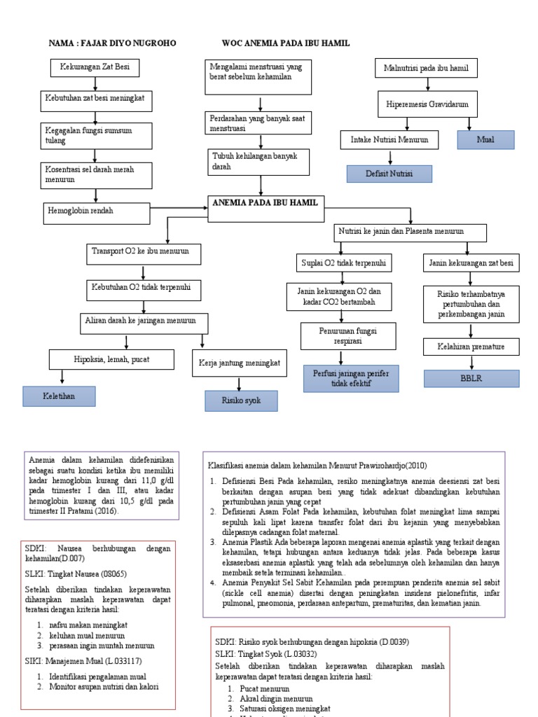 Woc Anemia Pada Kehamilan Diyo | PDF