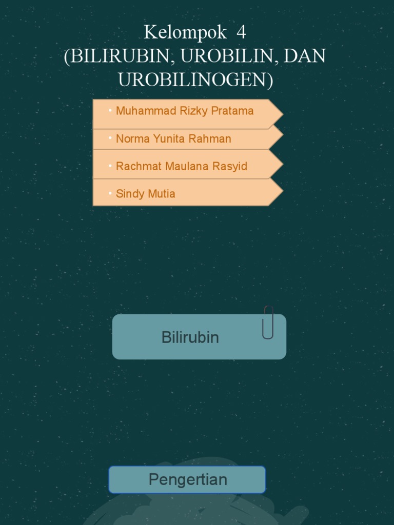 (Finish) Kel4 Bilirubin | PDF | Pengembangan Diri | Kesehatan Holistik
