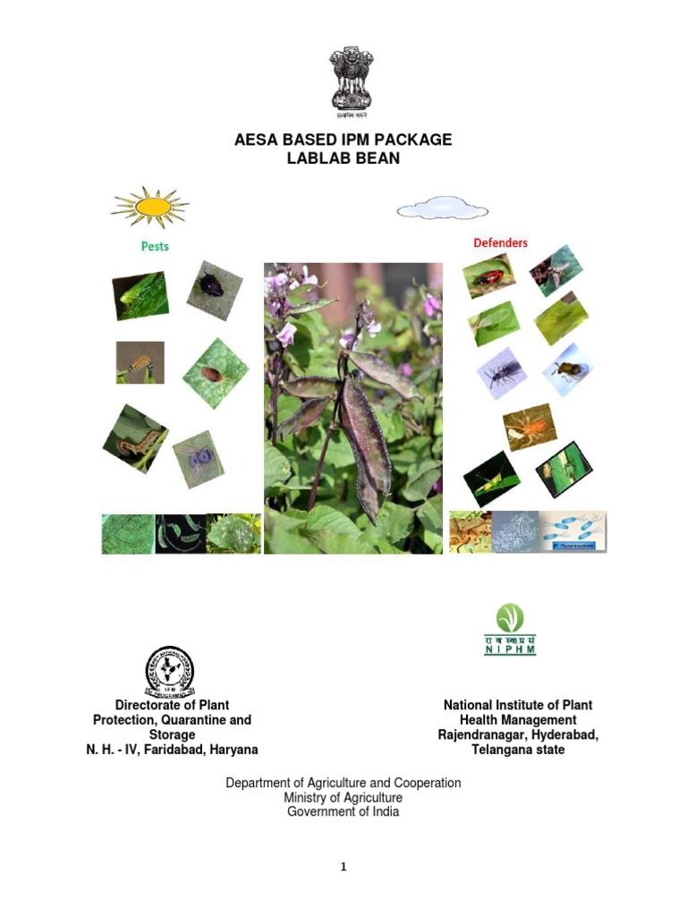 IPM Package For Lablabbean | PDF | Horticulture And Gardening | Agronomy