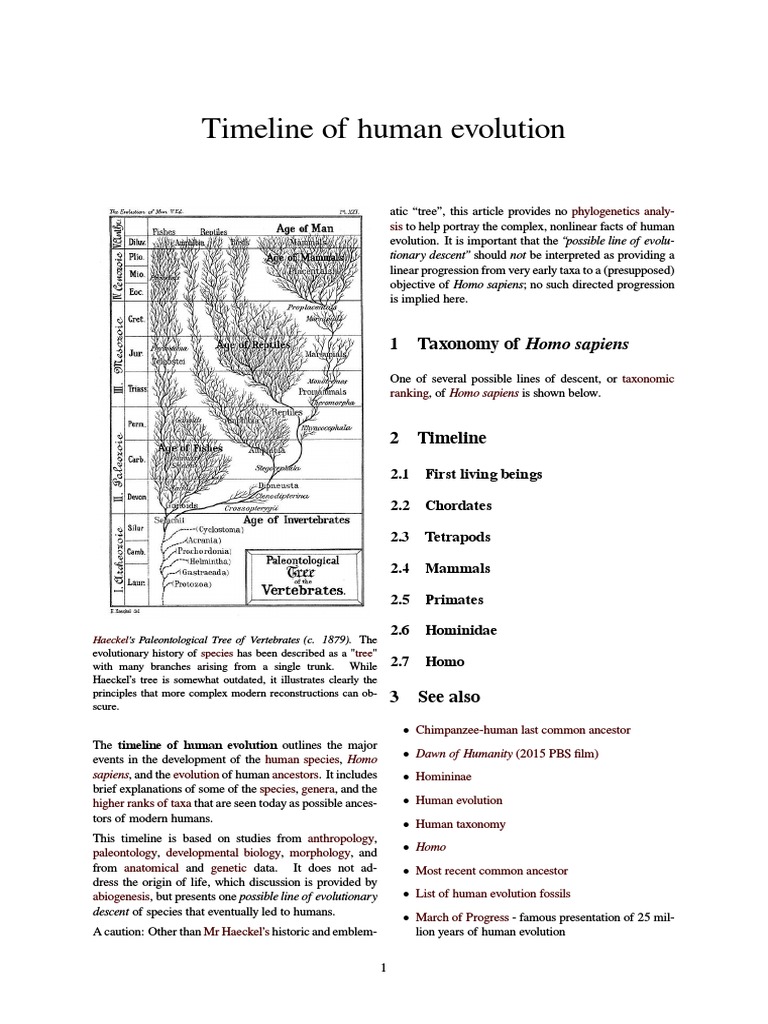 Timeline of Human Evolution: 1 Taxonomy of Homo Sapiens | PDF ...