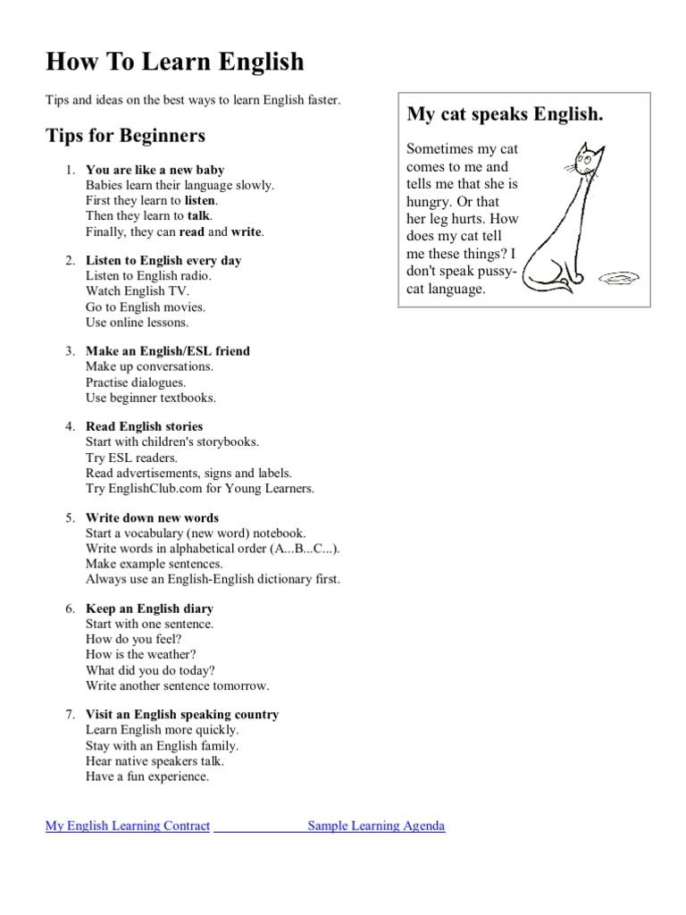 How To Learn English | PDF | English Language | Vocabulary