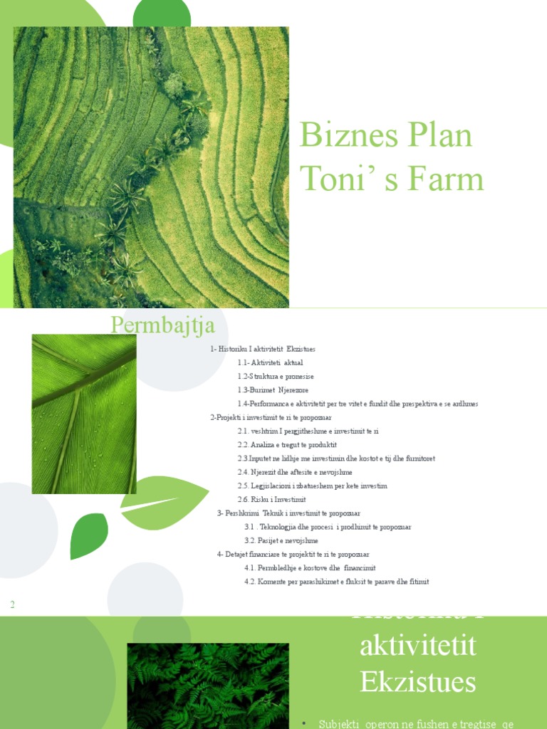Plan Biznesi | PDF