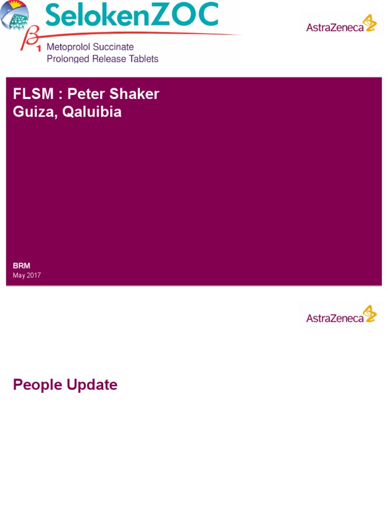 FLSM BRM Template | PDF | Business | Wellness