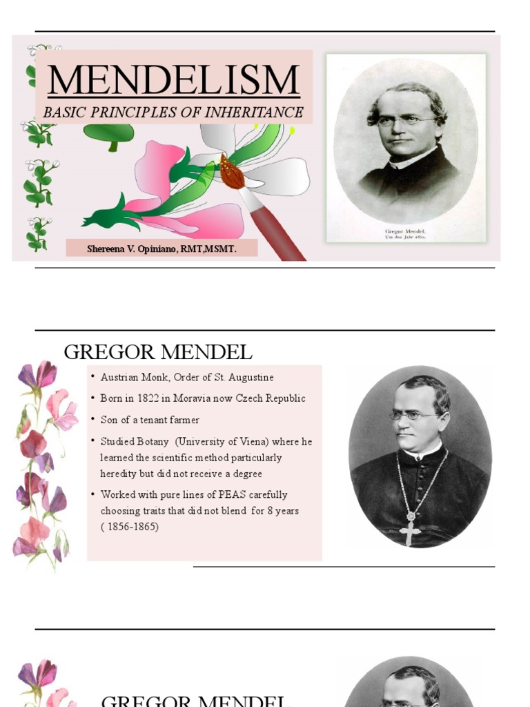 Understanding Mendelian Genetics: Gregor Mendel's Foundational Work on ...