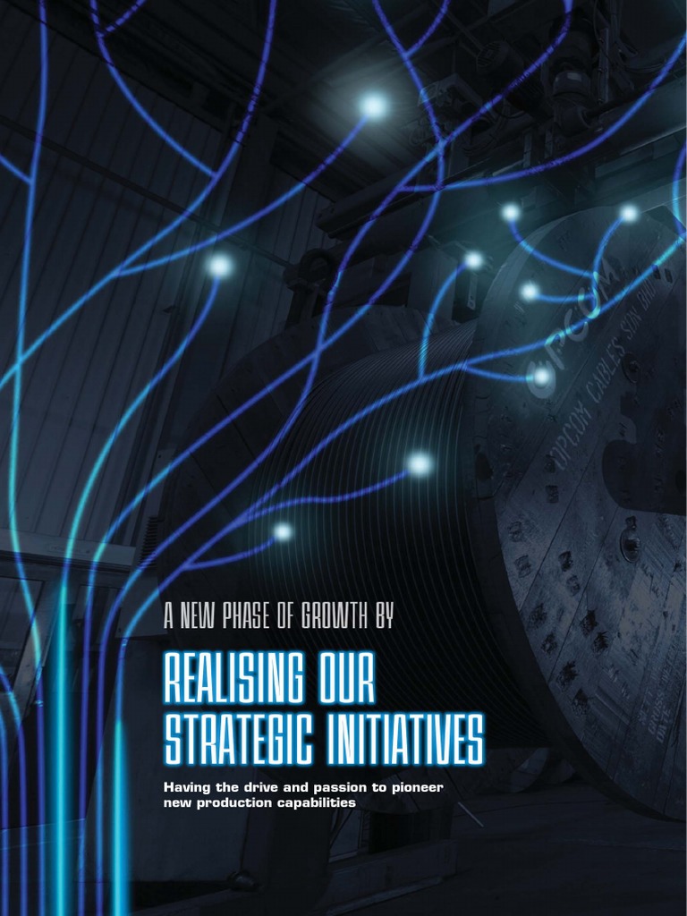 Opcom Holdings 2016 Annual Report | PDF | Internal Control | Corporate ...