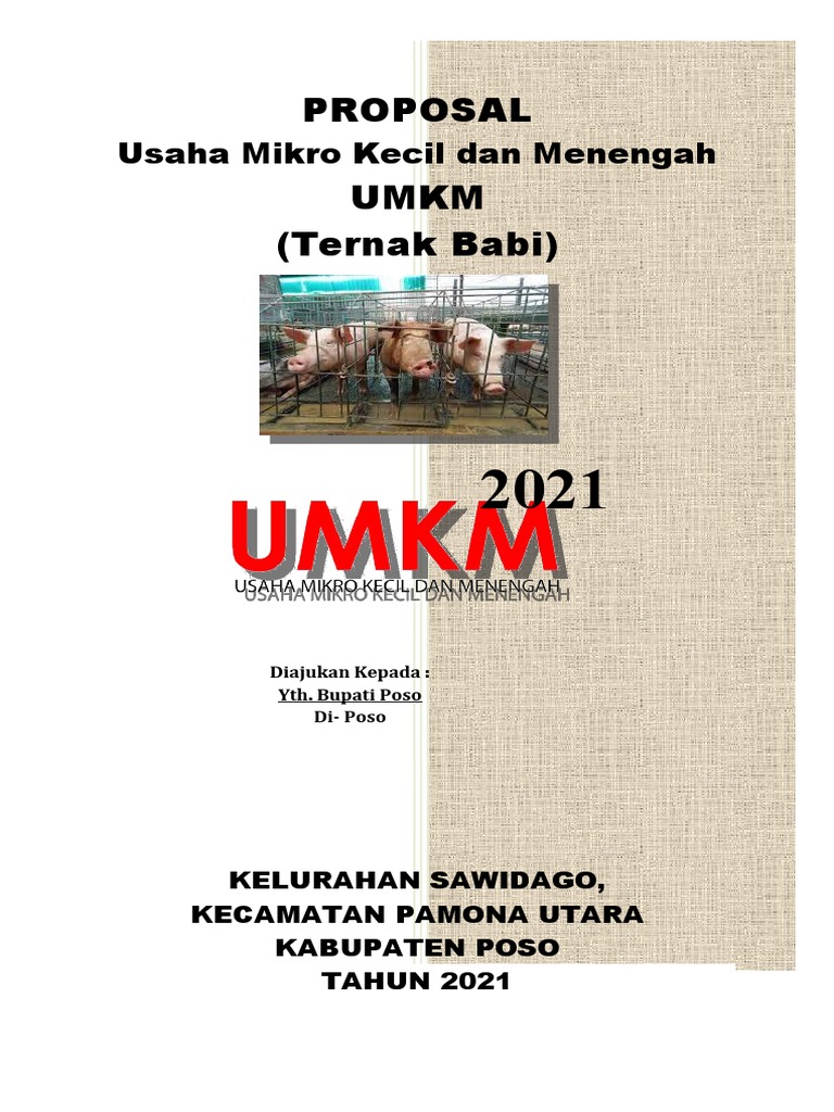 Proposal UMKM Usaha Babi | PDF