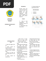Leaflet ROM Aktif Bener | PDF