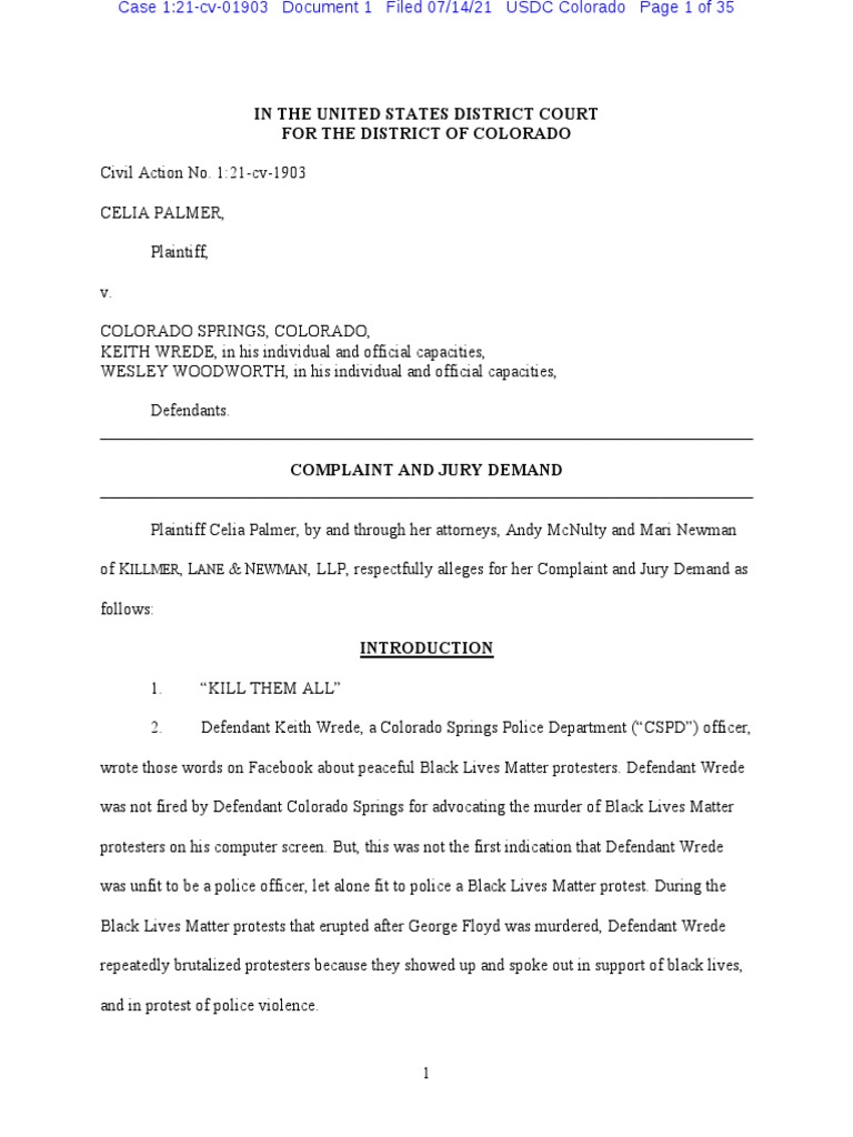 Celia Palmer v. Keith Wrede, Et Al. | PDF | Black Lives Matter | Damages