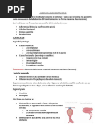 Suboclusion Intestinal | PDF | Enfermedades digestivas | Gastroenterología