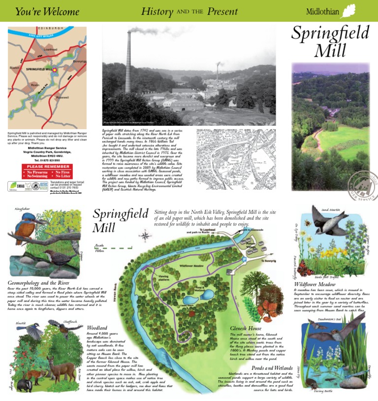 Springfield Mill LFT | PDF | Organisms | Natural Environment