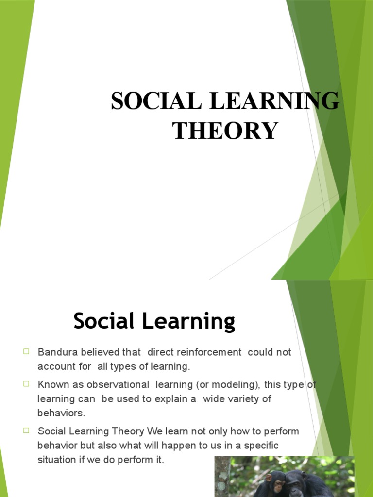 SOCIAL LEARNING THEORY r1 | PDF | Reinforcement | Psychological Theories