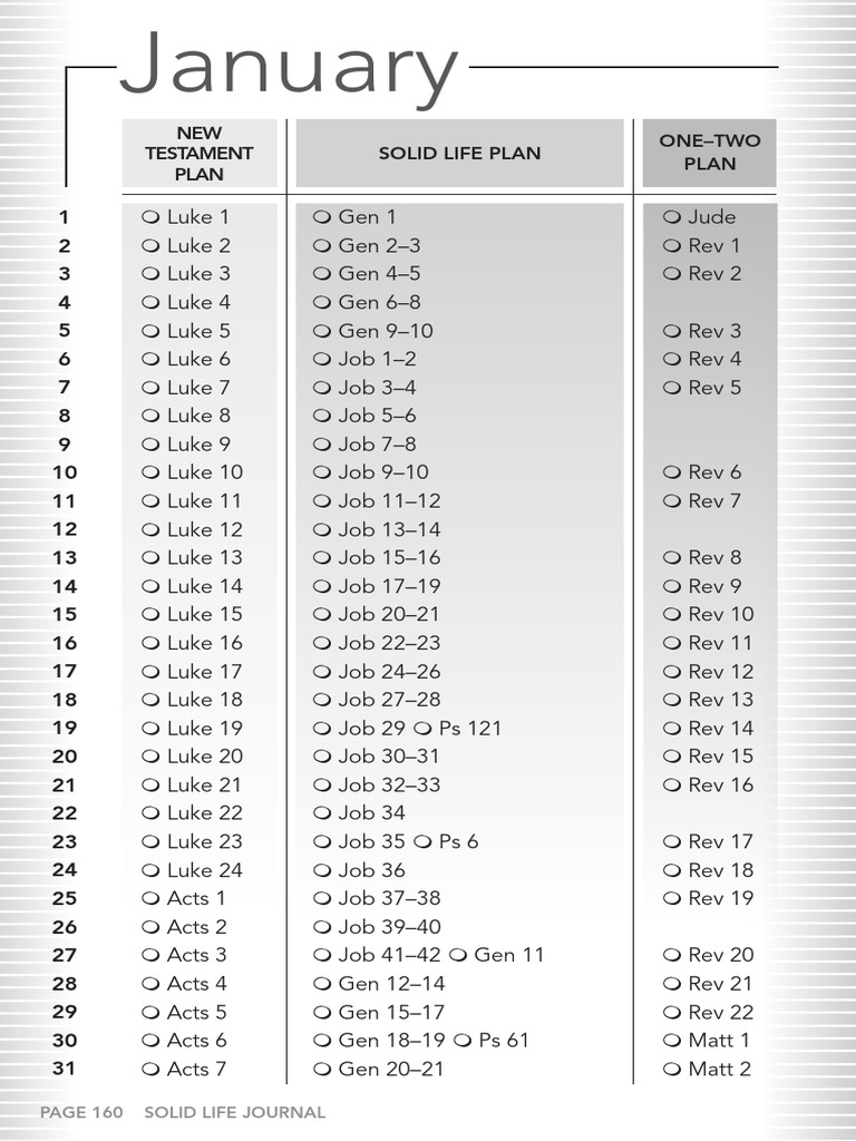 Bible Reading Plan | PDF | Gospels | Gospel Of Luke