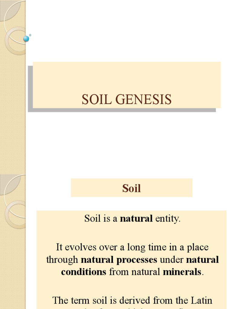 Soil Genesis | PDF