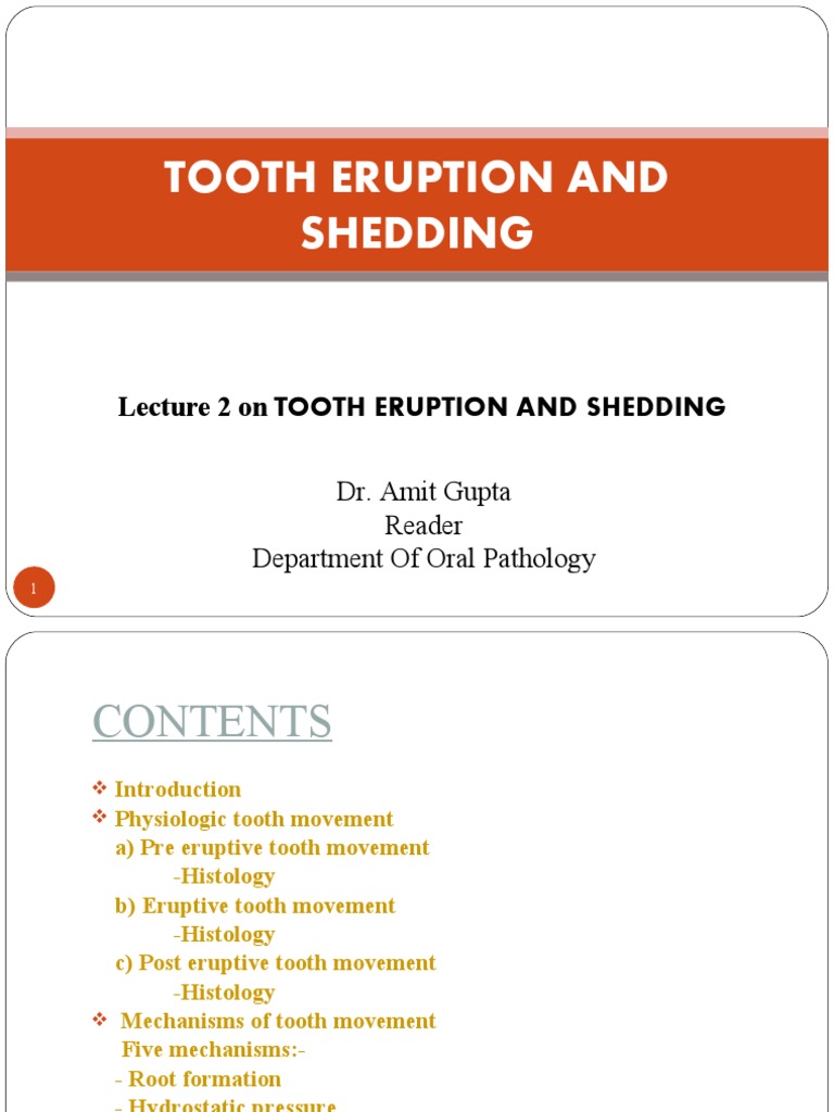 Lecture 2 Tooth Eruption and Shedding | PDF | Human Tooth | Tooth
