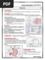 Anatomie des anses grêles et mésentère | PDF | Péritoine | Spécialités ...