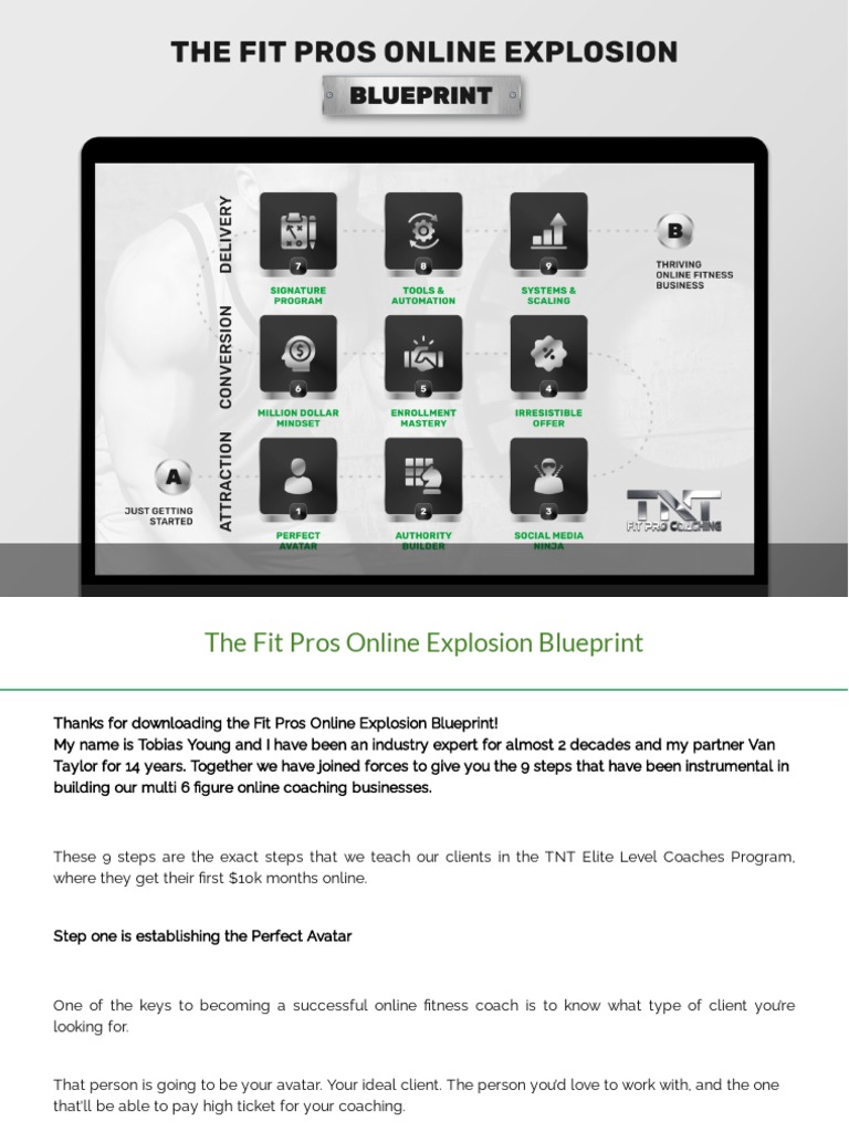 TNT 9 Step Blueprint | PDF | Customer Relationship Management ...