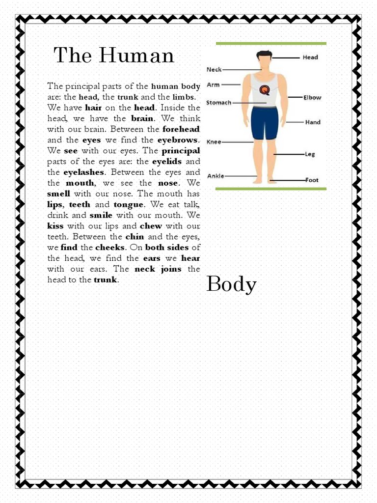 The-Human-Body-Fun-Activities-Games-Reading-Comprehension-Exercise ...