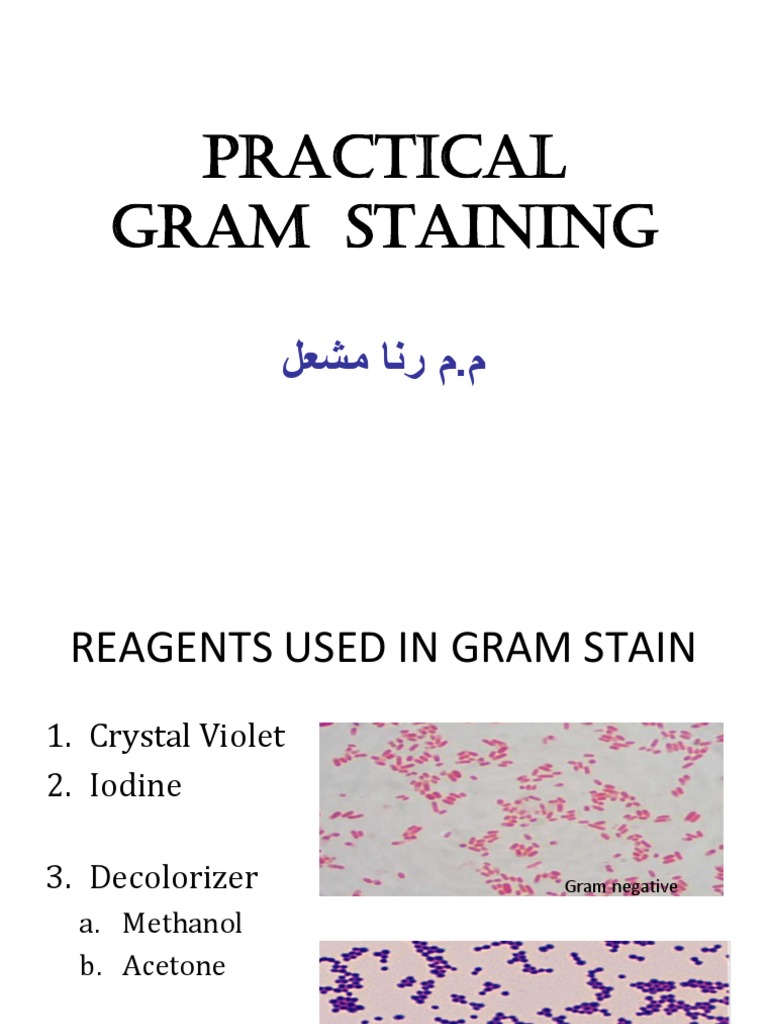 Gram Staining Procedure Guide | PDF | Science & Mathematics